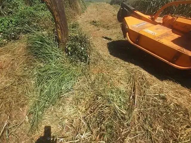 Terreno / Lote para Venda em Araguari/MG Área Rural de Araguari