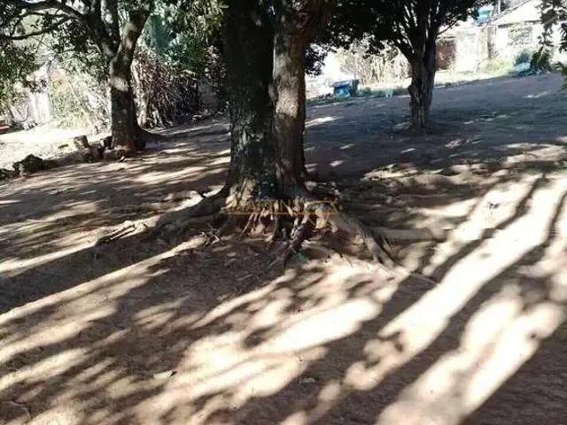 Terreno / Lote para Venda em Araguari/MG Bosque