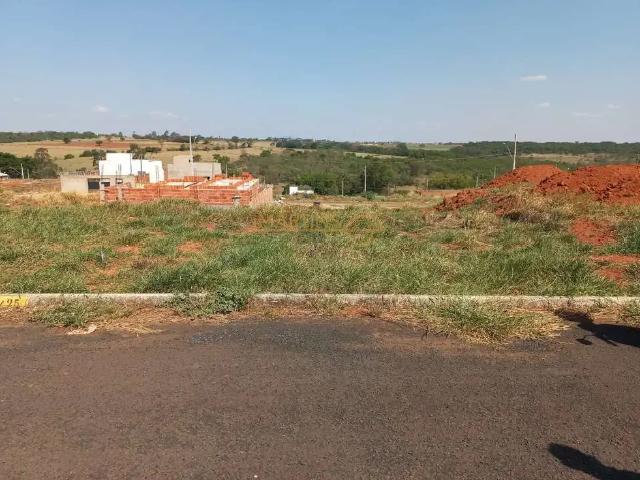 Terreno / Lote para Venda em Araguari/MG Bosque