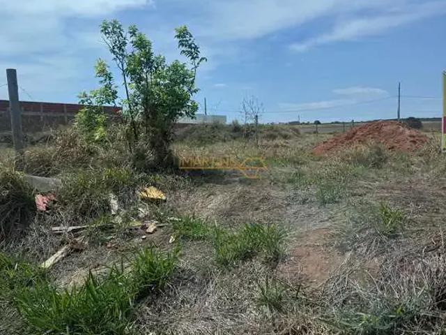 Terreno / Lote para Venda em Araguari/MG Jardim Panorama