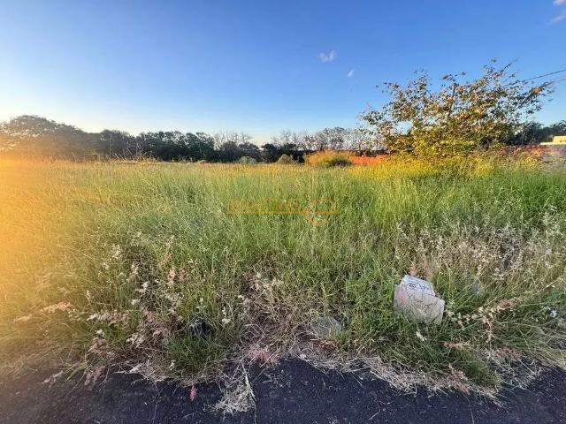 Terreno / Lote para Venda em Araguari/MG Jardim Panorama