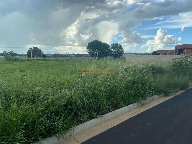 Terreno / Lote para Venda em Araguari/MG Sibipiruna