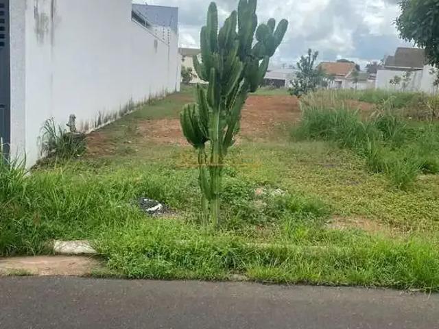 Terreno / Lote para Venda em Araguari/MG Sibipiruna
