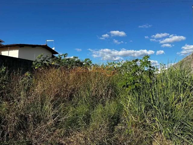 Terreno / Lote para Venda em Araguari/MG Sibipiruna