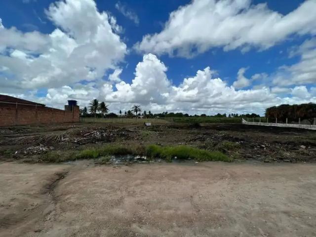 Terreno / Lote para Venda em Arapiraca/AL Bom Sucesso