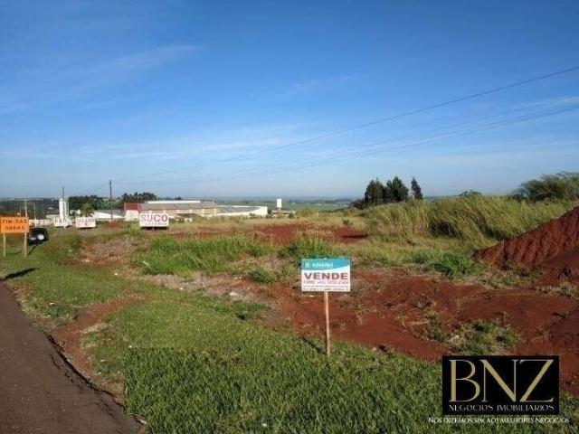 Terreno / Lote para Venda em Arapongas/PR Área Rural de Arapongas