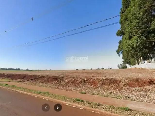 Terreno / Lote para Venda em Arapongas/PR Conjunto Palmares