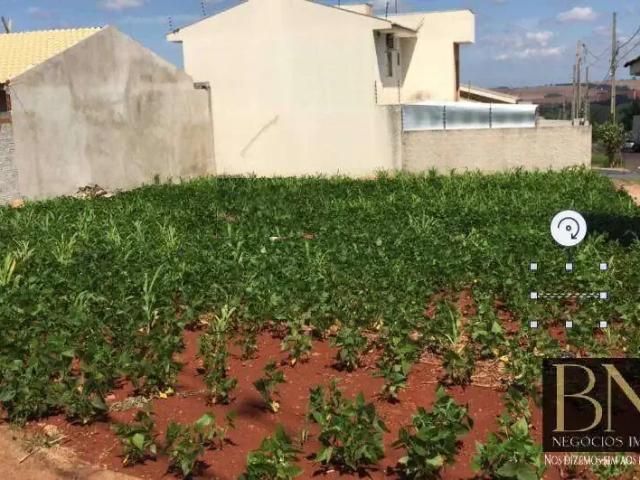 Terreno / Lote para Venda em Arapongas/PR Jardim Mônaco II