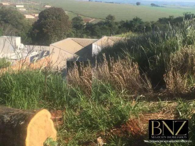 Terreno / Lote para Venda em Arapongas/PR Jardim Morumbi