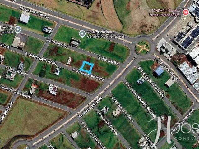 Terreno / Lote para Venda em Arapongas/PR Jardim Santa Alice