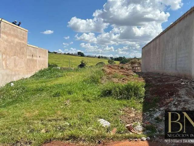 Terreno / Lote para Venda em Arapongas/PR Jardim Santa Alice