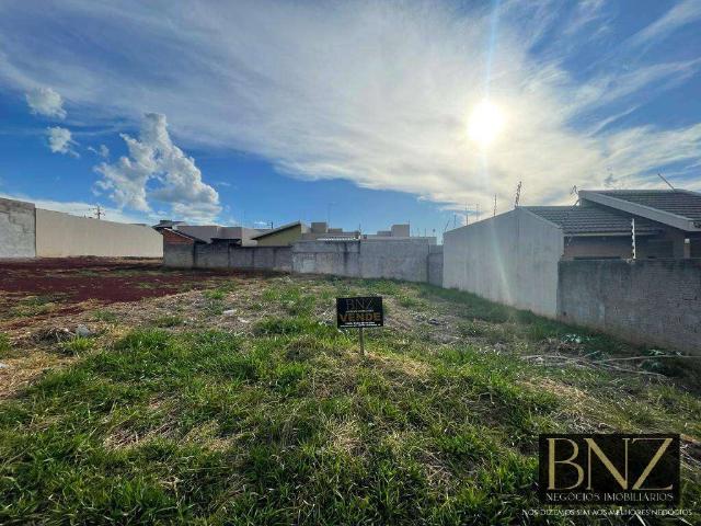 Terreno / Lote para Venda em Arapongas/PR Jardim Paulista
