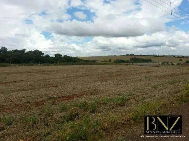 Terreno / Lote para Venda em Arapongas/PR Residencial São Francisco