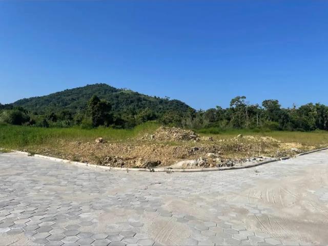 Terreno / Lote para Venda em Araquari/SC Barra do Itapocú