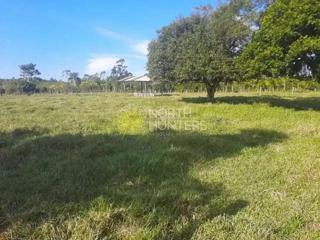 Terreno / Lote para Venda em Araquari/SC Barra do Itapocú