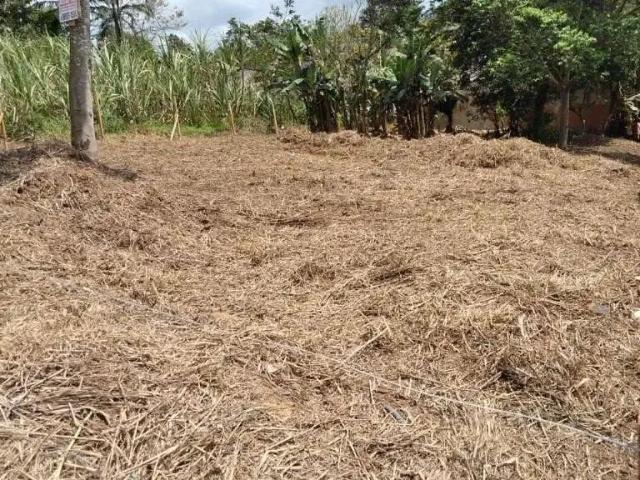 Terreno / Lote para Venda em Araquari/SC Itinga