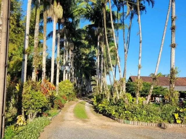 Terreno / Lote para Venda em Araquari/SC Volta Redonda