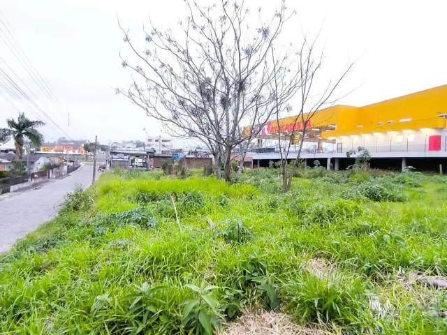 Terreno / Lote para Venda em Araranguá/SC Alto Feliz
