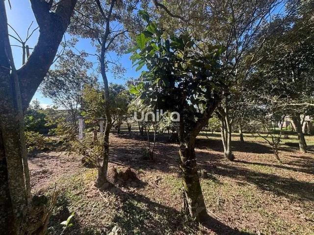 Terreno / Lote para Venda em Araranguá/SC Centro