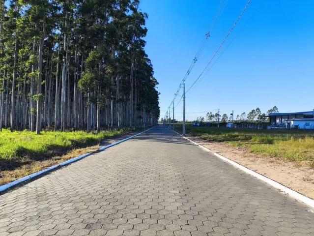Terreno / Lote para Venda em Araranguá/SC Lagoa da Serra