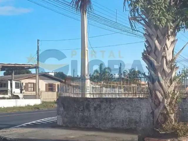 Terreno / Lote para Venda em Araranguá/SC Mato Alto