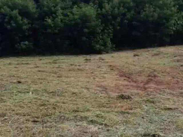 Terreno / Lote para Venda em Araraquara/SP Jardim Morumbi