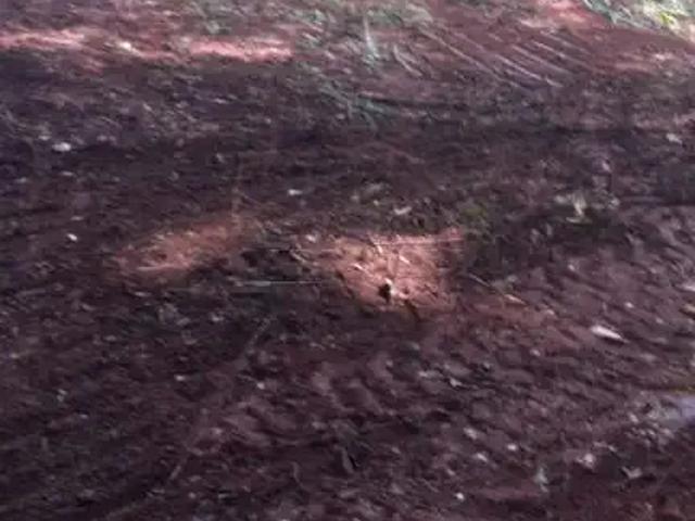 Terreno / Lote para Venda em Araraquara/SP Jardim Brasil Vila Xavier