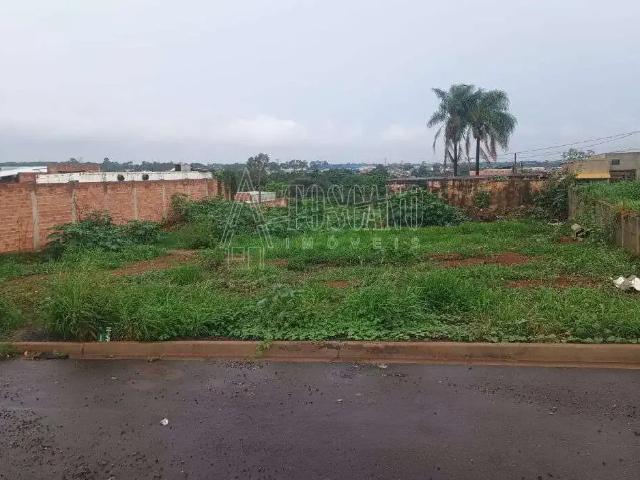Terreno / Lote para Venda em Araraquara/SP Jardim Brasil Vila Xavier