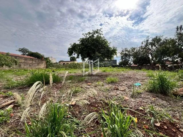 Terreno / Lote para Venda em Araraquara/SP Jardim do Carmo
