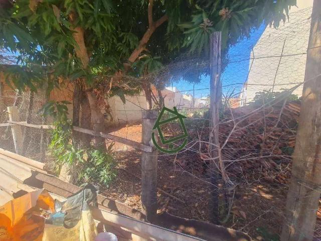Terreno / Lote para Venda em Araraquara/SP Jardim dos Oitis