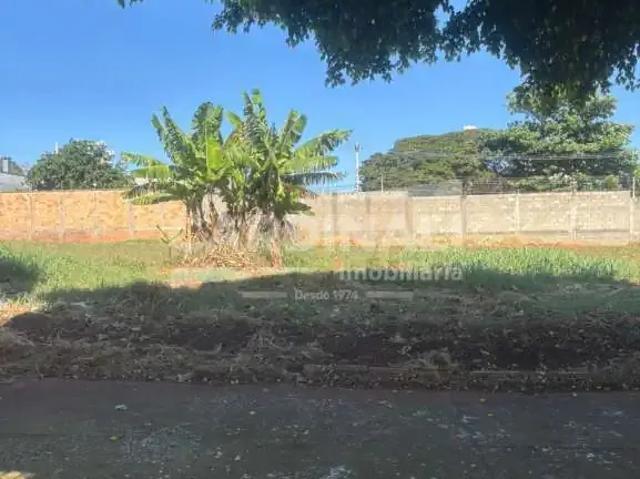 Terreno / Lote para Venda em Araraquara/SP Jardim Higienópolis