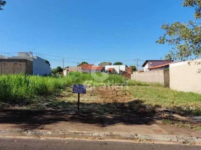Terreno / Lote para Venda em Araraquara/SP Jardim Universal