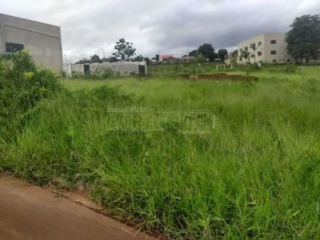 Terreno / Lote para Venda em Araraquara/SP Jardim Universal