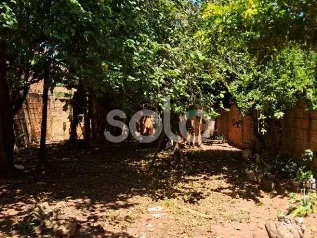 Terreno / Lote para Venda em Araraquara/SP Jardim Victório Antônio de Santi II