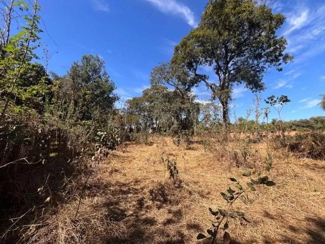 Terreno / Lote para Venda em Araraquara/SP Jardim Zavanella