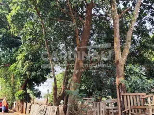 Terreno / Lote para Venda em Araraquara/SP Parque São Paulo Vila Xavier