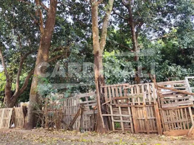 Terreno / Lote para Venda em Araraquara/SP Parque São Paulo Vila Xavier