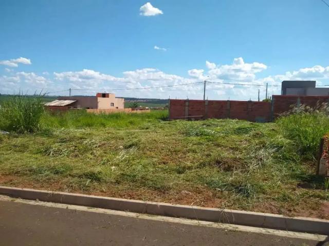 Terreno / Lote para Venda em Araraquara/SP Residencial Alamedas II