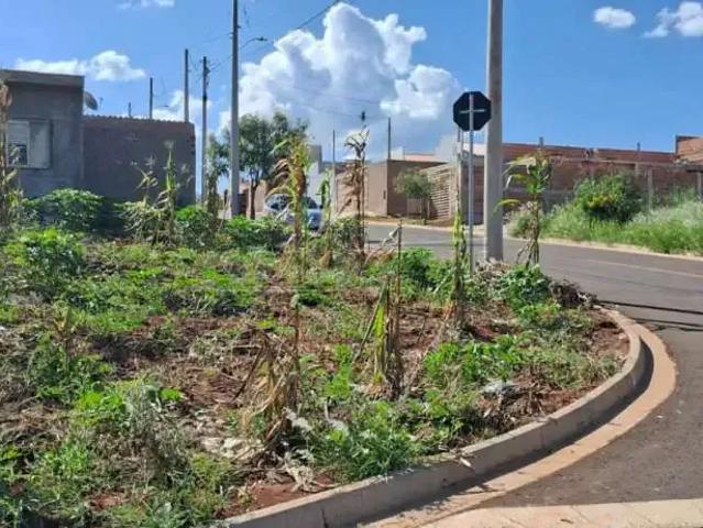 Terreno / Lote para Venda em Araraquara/SP Residencial Alamedas II