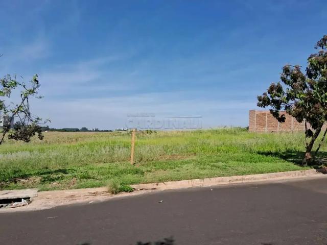 Terreno / Lote para Venda em Araraquara/SP Residencial Vista do Horto
