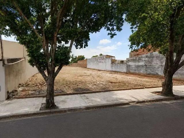 Terreno / Lote para Venda em Araraquara/SP Vila Xavier Vila Xavier