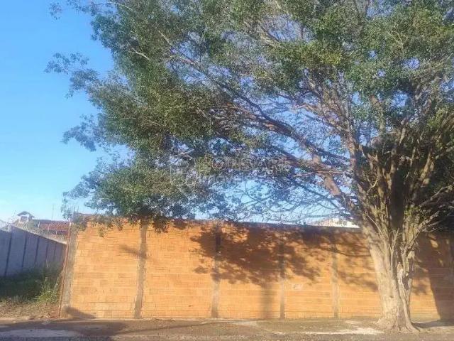 Terreno / Lote para Venda em Araraquara/SP Vila Biagioni Vila Xavier
