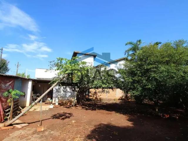 Terreno / Lote para Venda em Araraquara/SP Vila José Bonifácio