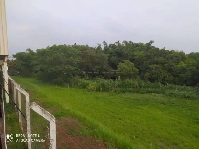 Terreno / Lote para Venda em Araraquara/SP Vila Santana