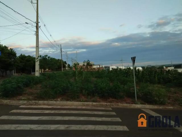 Terreno / Lote para Venda em Araruna/PR Jardim Primavera