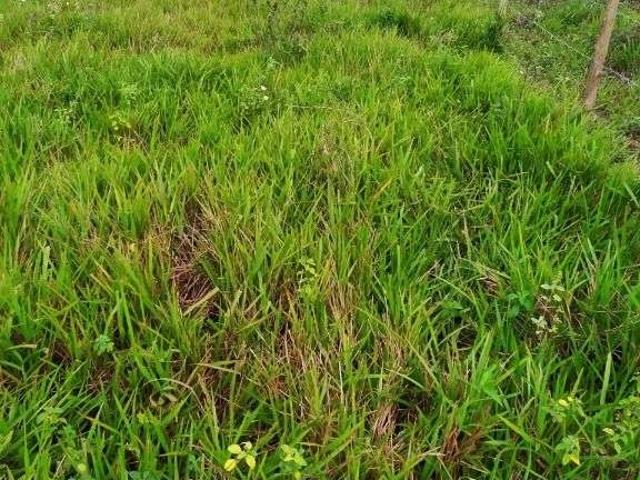 Terreno / Lote para Venda em Araruama/RJ Itatiquara
