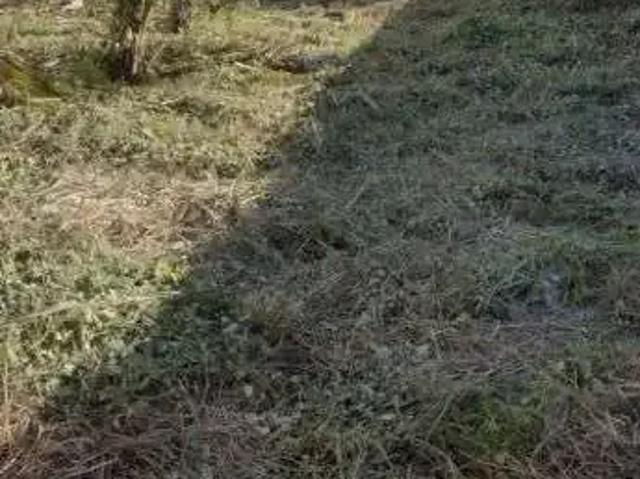 Terreno / Lote para Venda em Araruama/RJ Praia do Barbudo