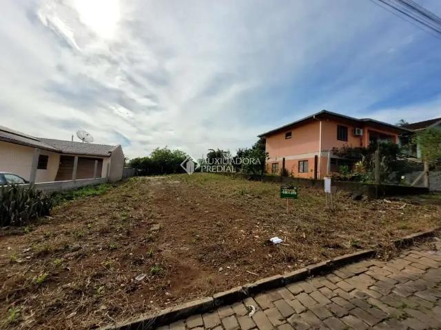 Terreno / Lote para Venda em Arroio do Meio/RS São Caetano