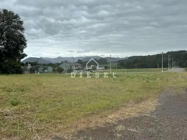 Terreno / Lote para Venda em Arroio do Meio/RS São Caetano