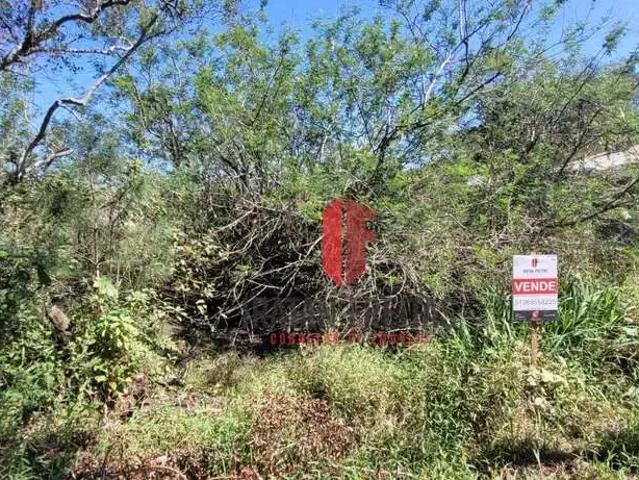 Terreno / Lote para Venda em Arroio do Sal/RS Balneário Pinus Park